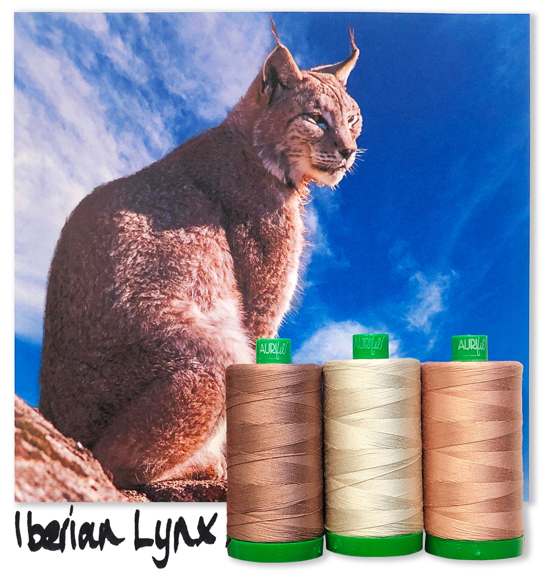 Iberian Lynx by Aurifil + Patterns – Shop Aurifil - Official