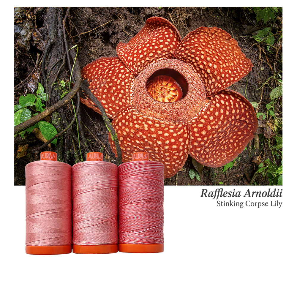 Stinking Corpse Lily by Aurifil + PDF Pattern – Shop Aurifil - Official